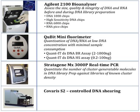 Dna Sequencing Queensland Brain Institute University Of Queensland