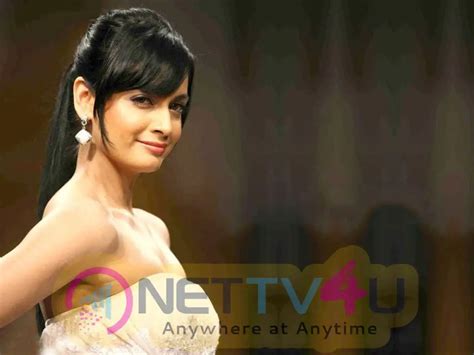 Actress Dia Mirza Beautiful Photos Galleries Hd Images