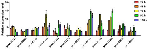 Dynamic Transcriptome Analysis Reveals Transcription Factors Involved