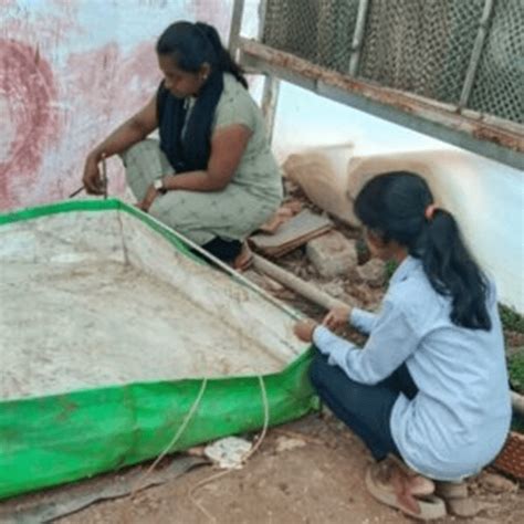 Assignment Dwc Hydroponics Design Innovation Center