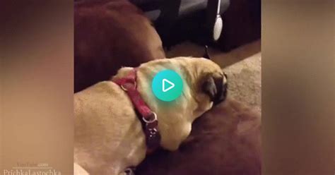 What Did You Say  On Imgur