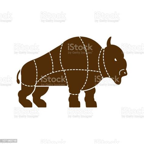 고기 버팔로의 커트 들소의 다른 부분 고기 계획 라인 실루엣 육체 황소를 잘라 하는 방법 고기에 대 한 포스터 정육점