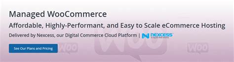 What Are The Best Options For Woocommerce Hosting