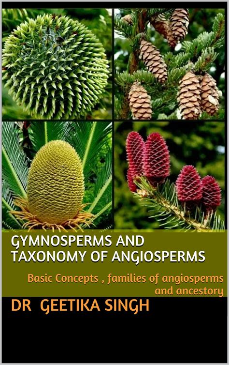 Gymnosperms And Taxonomy Of Angiosperms Basic Concepts Families Of