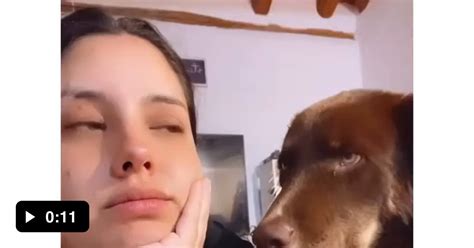 So Shy 🤣🤣 9gag