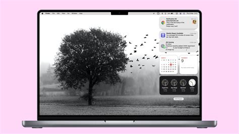 如何在 Mac 上查看、暂停和停止通知 如何在 Mac 上查看、暂停和停止通知