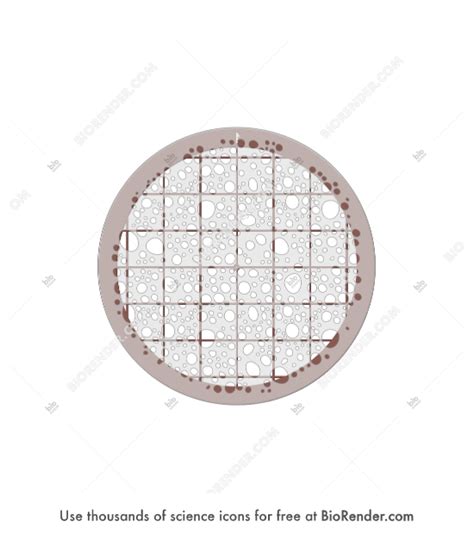 Free Tem Grid 200 Mesh With Holey Carbon Film Icons Symbols