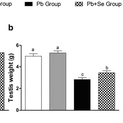 Body Weight Testis Weight And Testis Weight Body Weight After Pb Se Download Scientific
