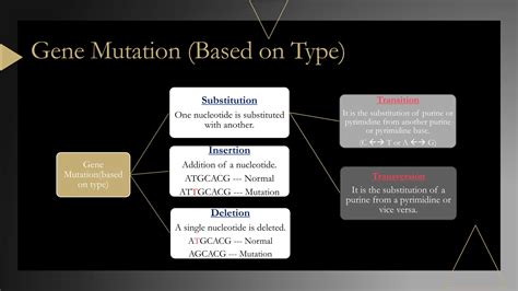 Gene Mutation Its Types And Importance Of Mutation Pptx