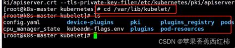 十 kubernetes 核心配置文件与kubelet命令 kubelet 配置文件 csdn博客