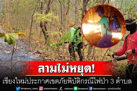 ในประเทศ เชียงใหม่วิกฤตหมอกควัน ประกาศเขตภัยพิบัติจากไฟป่า 3 ตำบลใน 2 อำเภอ