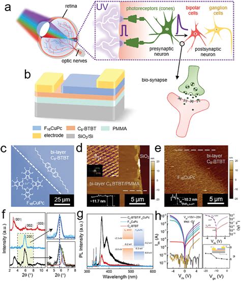 Characterizations Of Organic Asymmetric Heterojunctions A Schematic