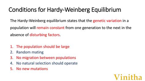 Hardy Weinberg Equilibrium Pptx