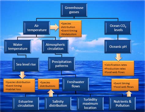 Types Of Resources Flow Chart