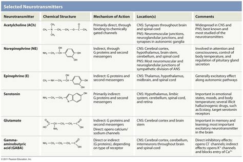 Neurotransmitters And Their Functions Chart