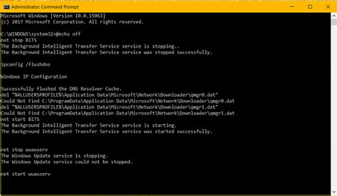 Bitsadmin Pops Up Randomly And Immediately Disappears Solved Page 11