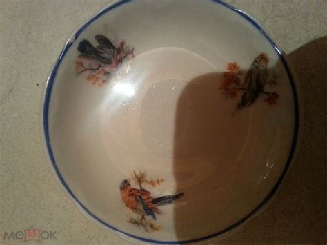 МАЛЕНЬКАЯ ТАРЕЛОЧКА ПОПУГАИ ДУЛЕВО (торги завершены #89972746)