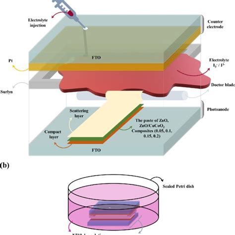 Schematic Illustration Of A Fabrication Of A Dssc Composed Of Download Scientific Diagram