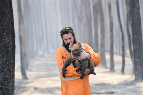 Ascienden A 26 Los Muertos Por Los Incendios Forestales En Australia