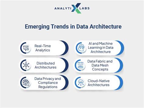 Data Architect Skills Responsibilities Trends And Career Guide