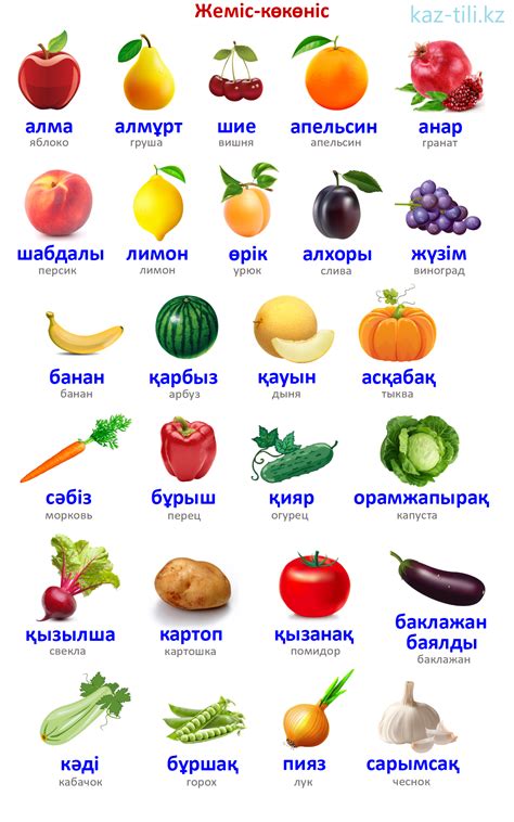 Словарь в картинках Kaz Tilikz