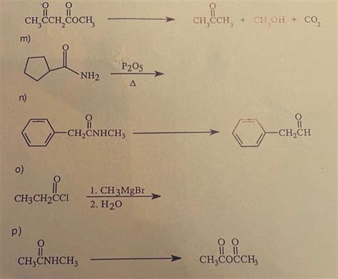 Solved M N O P Chegg