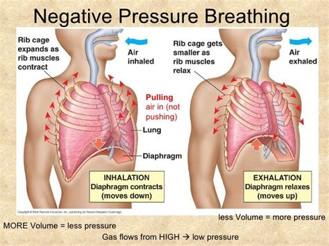 Passive Pressure Vs Active Pressure At Alannah Spark Blog