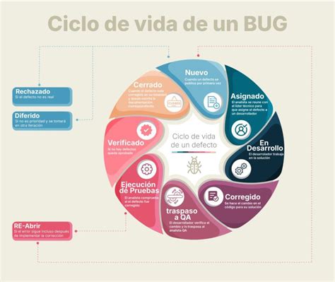 Testing Bugs Qa Tester Calidad Qualityassurance Qatester Veronica Mariela Stanislavsky