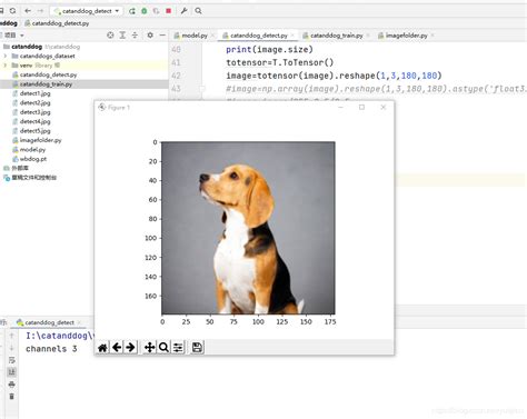 深度学习实战——基于pytorch写的一个猫狗分类的模型——学习总结深度学习之猫狗分类实验总结 Csdn博客