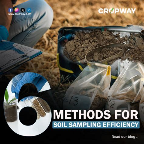 Top Methods For Soil Sampling Efficiency CROPWAY