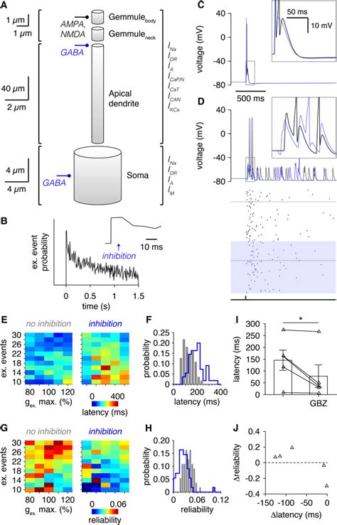 Feedforward Inhibition And Asynchronous Excitation Interact To Reduce Download Scientific