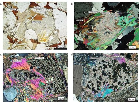 Photomicrographs Of Cordierite Pseudomorphs A Ppl Image Showing Download Scientific Diagram