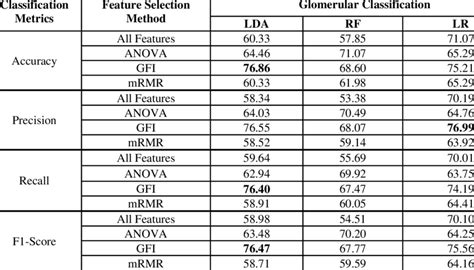 Glomerular Classification Performance For Top Feature Sets And