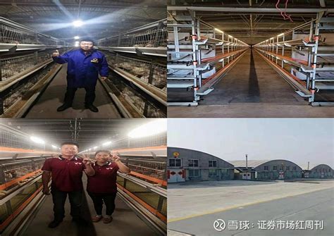 兴业银行助力农村养殖业拓宽致富路 多亏了兴业银行500万元的贷款我们建成了这么宽敞明亮的养鸡场养殖户苏明松激动地说道苏明松是大连