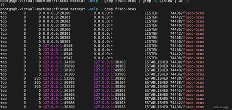 fisco bcos中获取端口占用情况及自动化脚本编写 fisco bcos如何查看节点端口号 CSDN博客