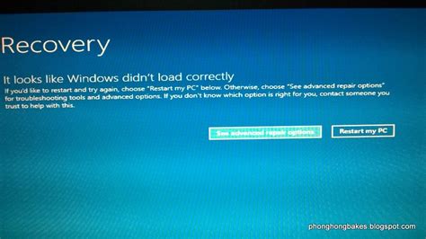 PH The Malaysian Carnivore I Hate Windows 10