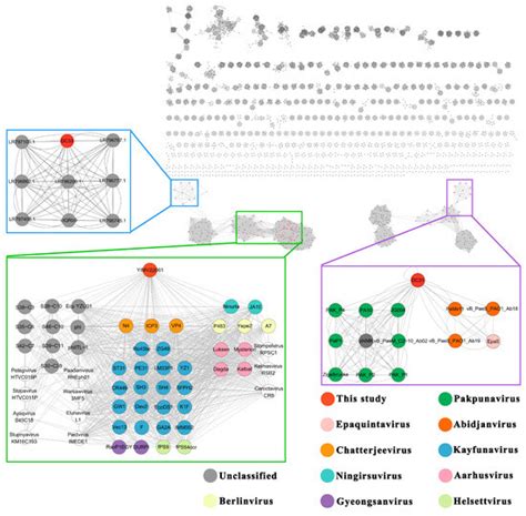 Microorganisms Special Issue Advances In Genomics And Ecology Of