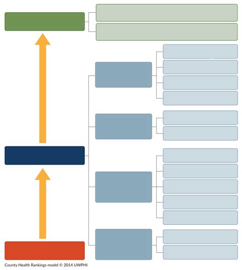 Exam 1 Diagram Quizlet