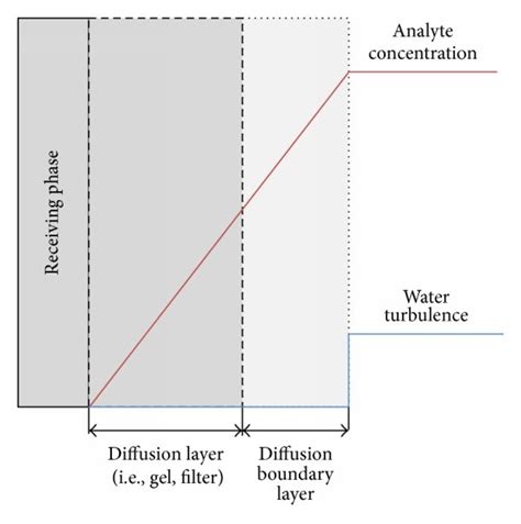 Concentration Gradient Graph