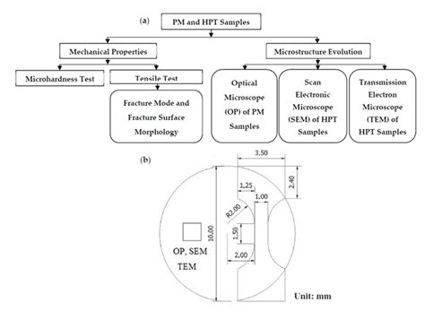 A Flow Chart Of The Experimental Testing B The Positions Of The Download Scientific