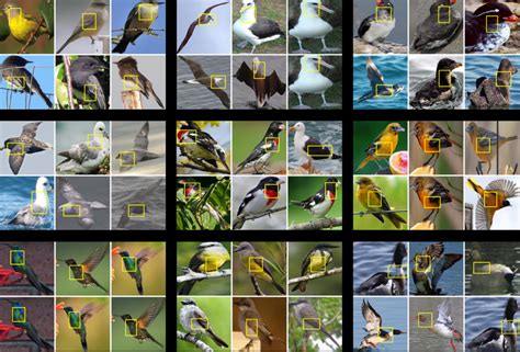 Pairs Of Semantically Similar Prototypes Distant In The Representation Download Scientific