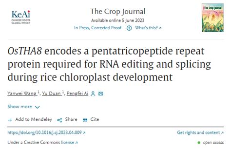河北科大揭示ppr蛋白ostha8影响水稻叶绿体发育的分子机制 基因组 调控 植物