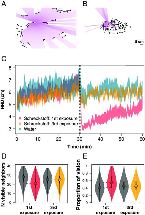 Effect Of Perceived Predation Risk On Group Structure A A Subset Of