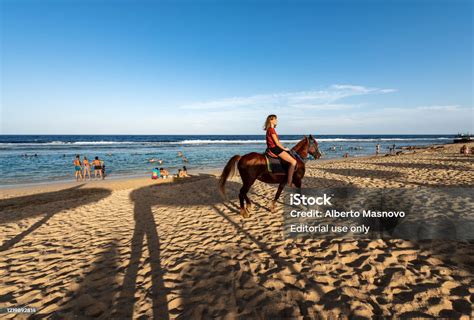 마르사 알람 이집트 아프리카 근처 홍해 해변 말을 타고 젊은 여자 관광객에 대한 스톡 사진 및 기타 이미지 관광객 마르사 알람 T 셔츠 Istock
