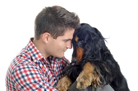 Premium Photo English Cocker And Man