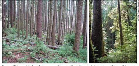 Figure 1 From Guide To Variable Density Thinning Using Skips And Gaps Semantic Scholar