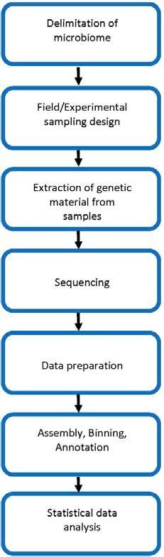1 A Typical Pipeline For Metagenomic Studies Download Scientific Diagram
