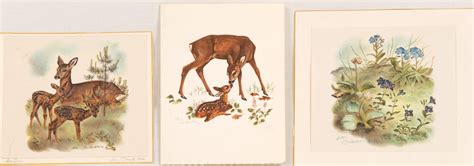 Examples Of Illustrations By Len Fullerton Wildlife Artist Newport