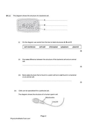 Igcse Edexcel Biology Structures And Functions In Living Organisms