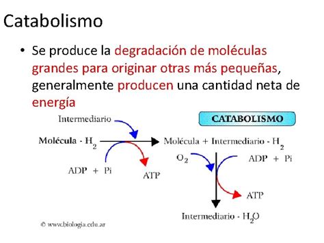 Fsica Y Qumica Biolgica Licenciatura En Enfermera Clase